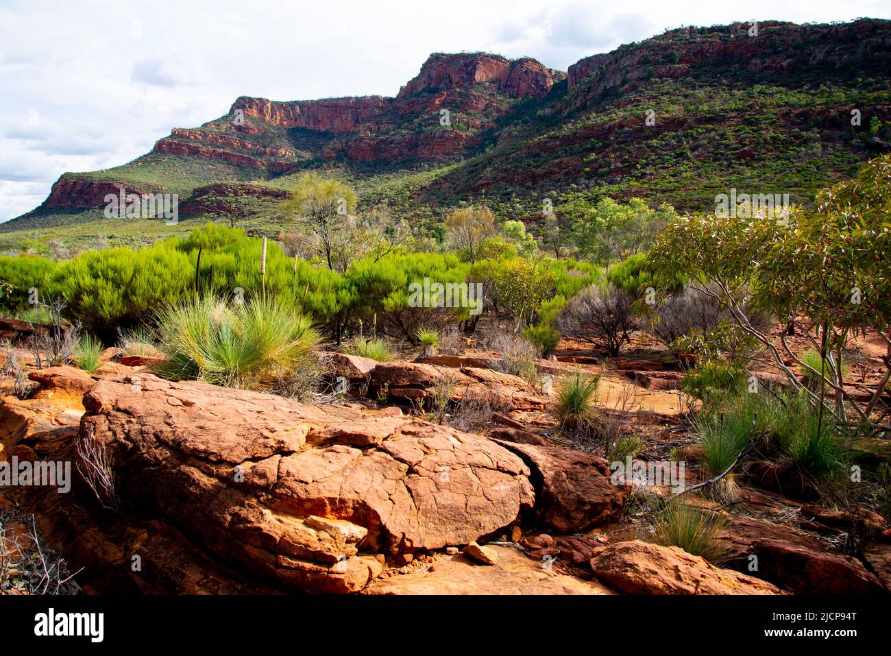 Ikara-Flinders Ranges National Park - Australia Stock Photo - Alamy