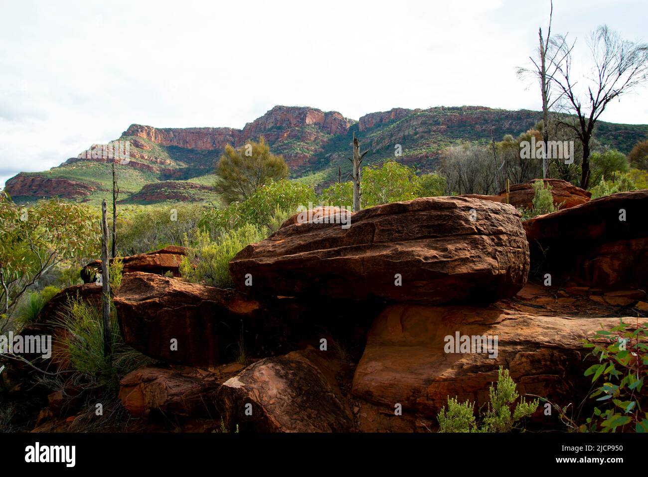 Ikara-Flinders Ranges National Park - Australia Stock Photo - Alamy