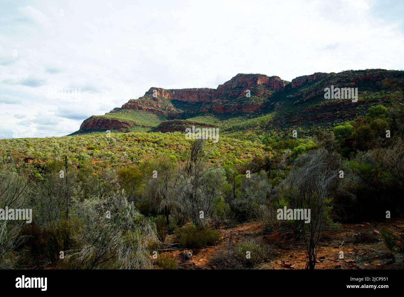 Ikara-Flinders Ranges National Park - Australia Stock Photo - Alamy Ikara-Flinders Ranges National Park - Australia Stock Photo - Alamy