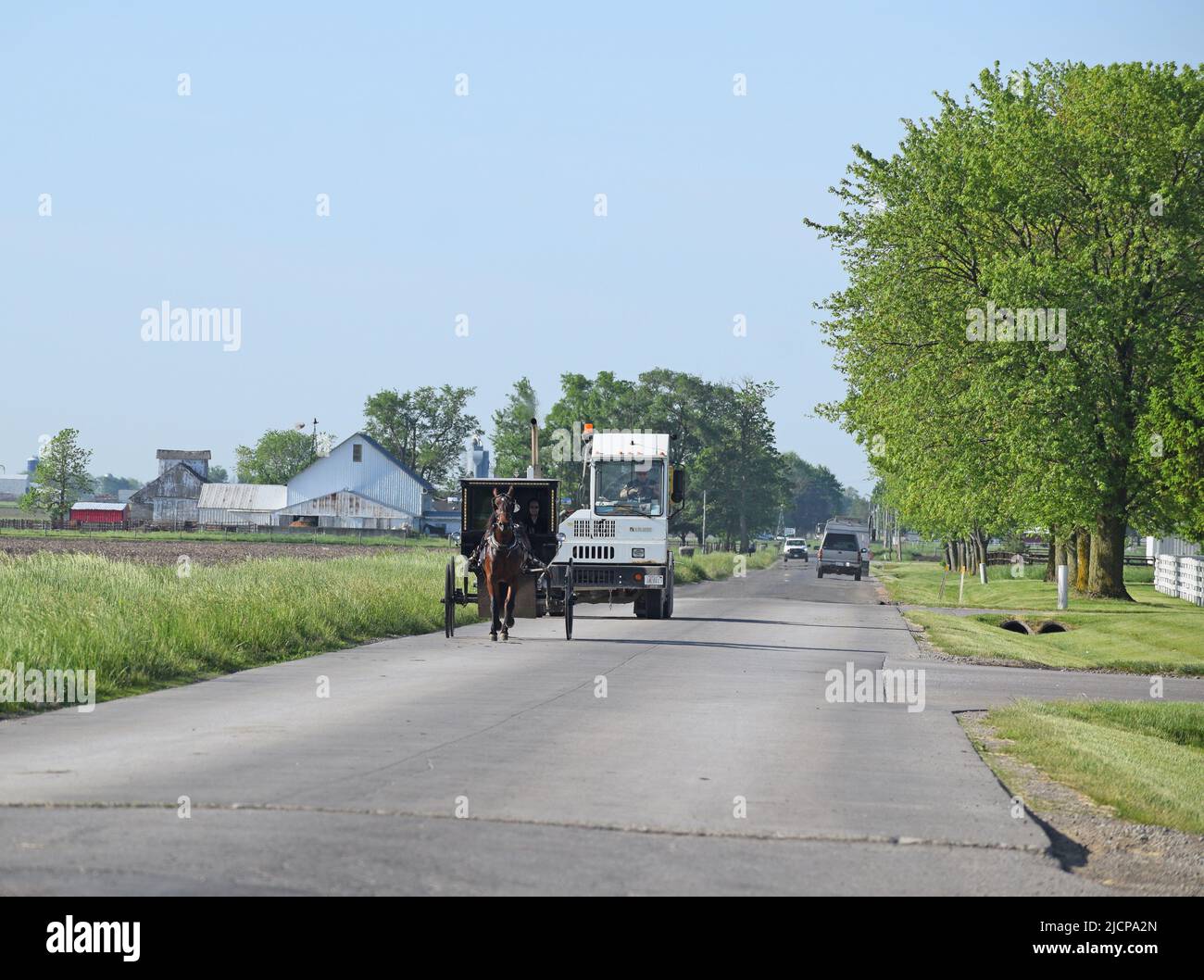 Amish woman driving a buggy hi-res stock photography and images - Alamy