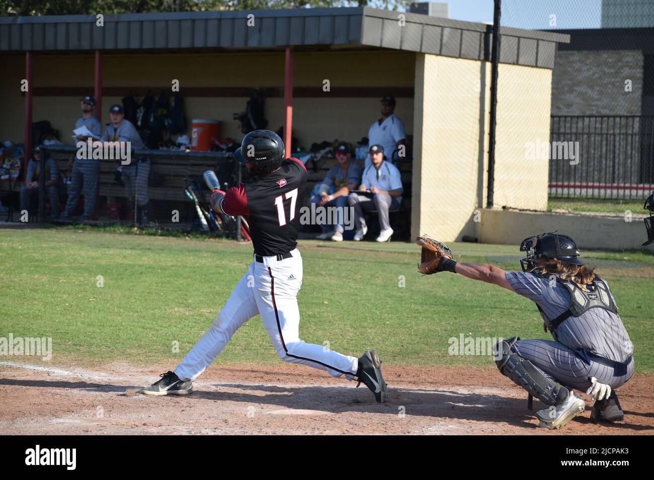 A Dallas Christian College baseball player swining at a baseball and ...