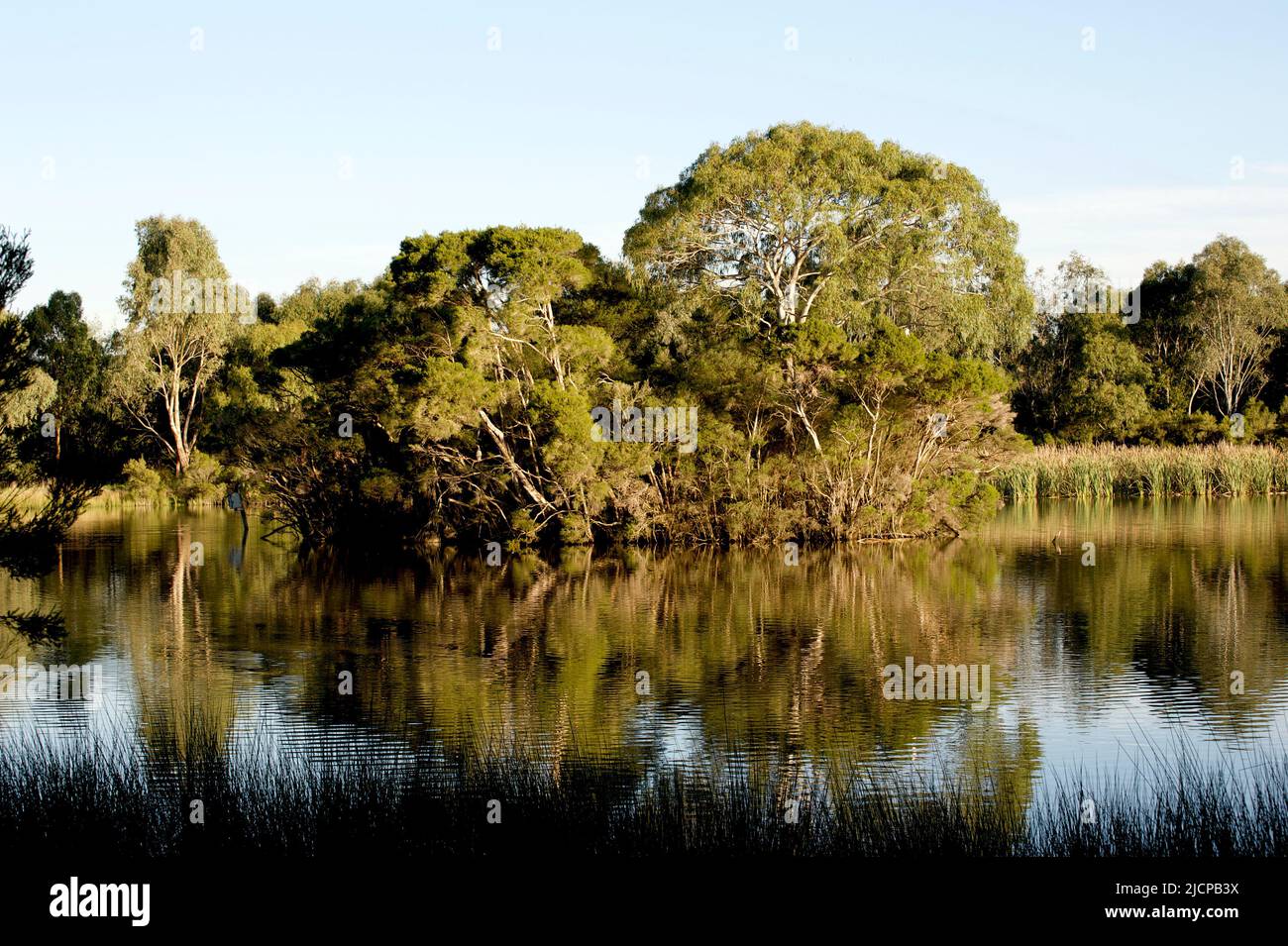 Jells Park Lake in afternoon sun - looks attractive. Jells Park is on ...