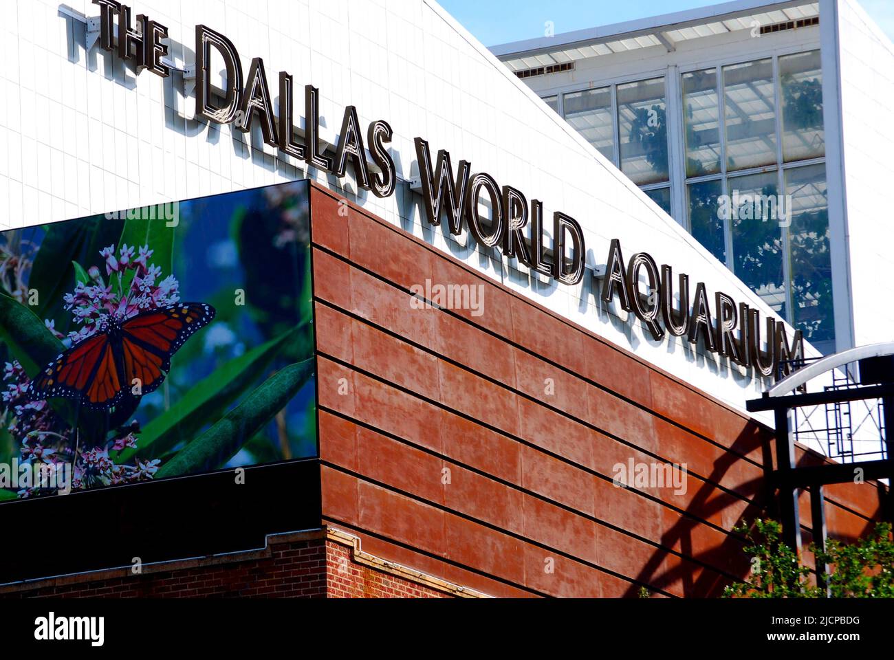 Dallas world aquarium hi-res stock photography and images - Alamy