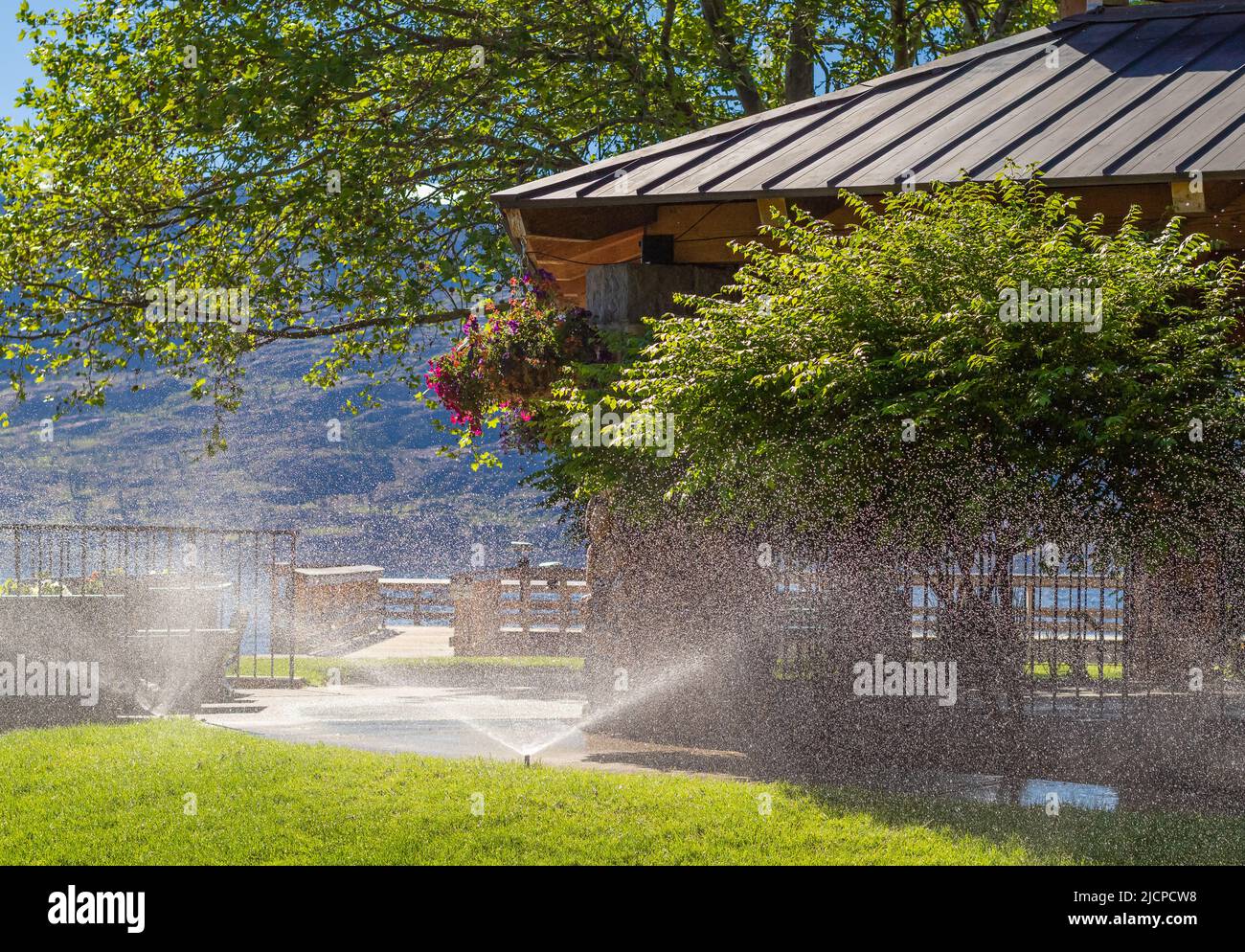 Automatic sprinklers watering grass. Garden Watering Systems ...