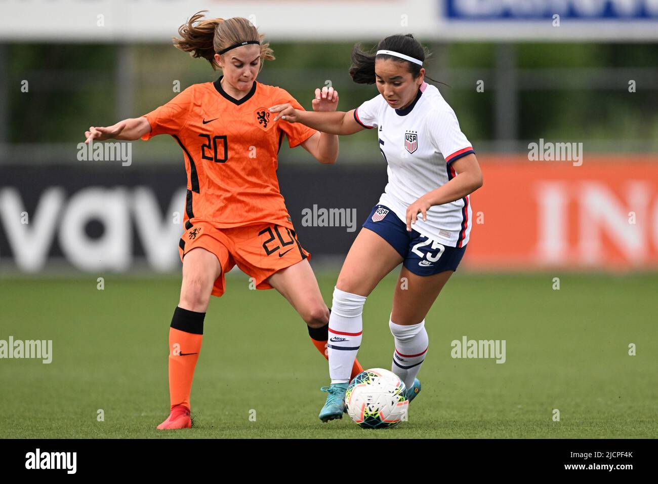 Sofia rose hi-res stock photography and images - Alamy