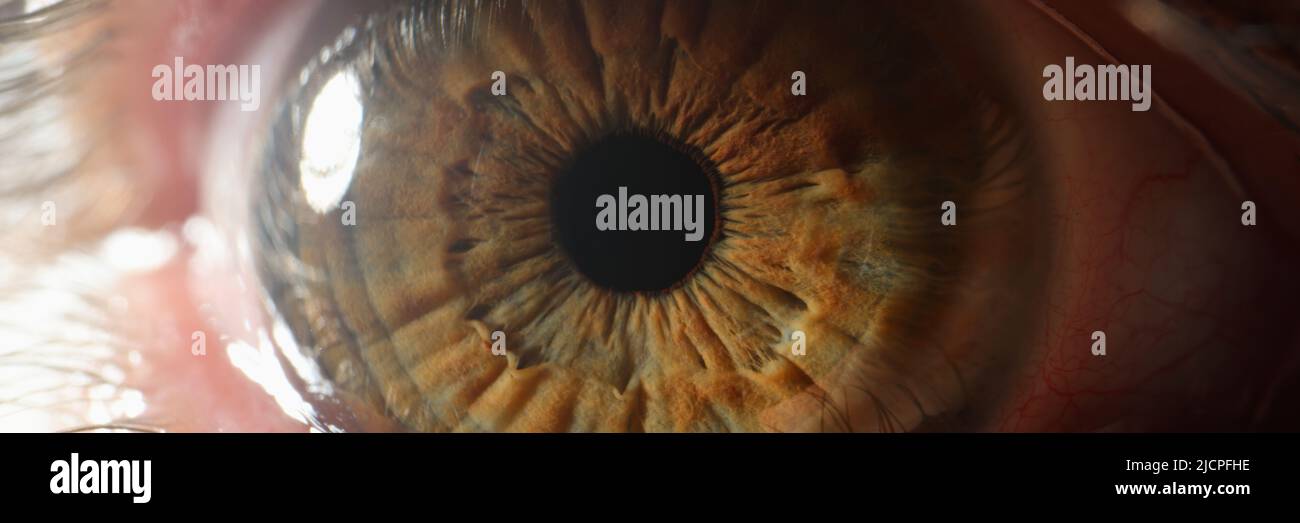 Green human eye hi-res stock photography and images - Alamy