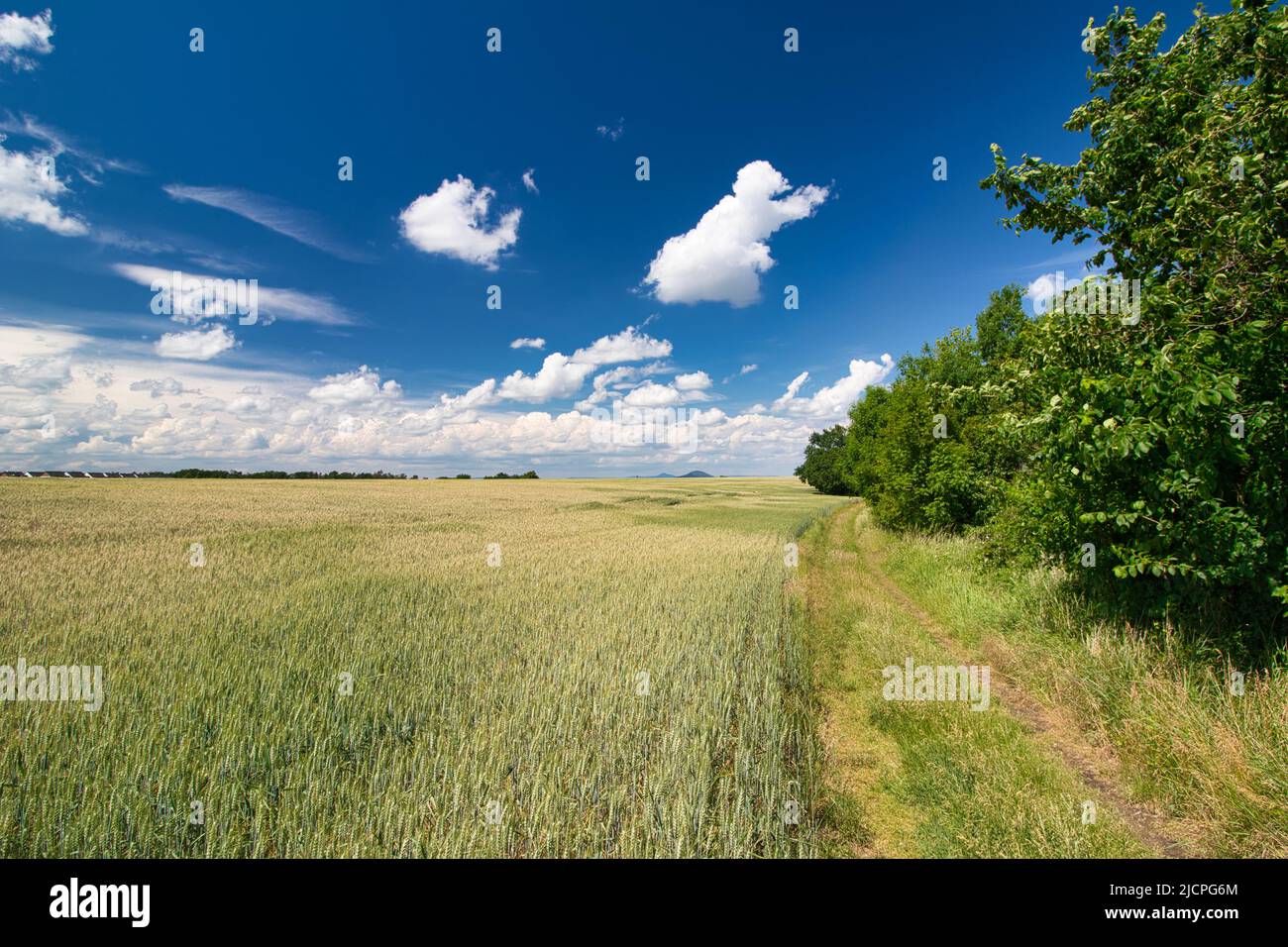 Blue sky with clouds and walking path hi-res stock photography and ...