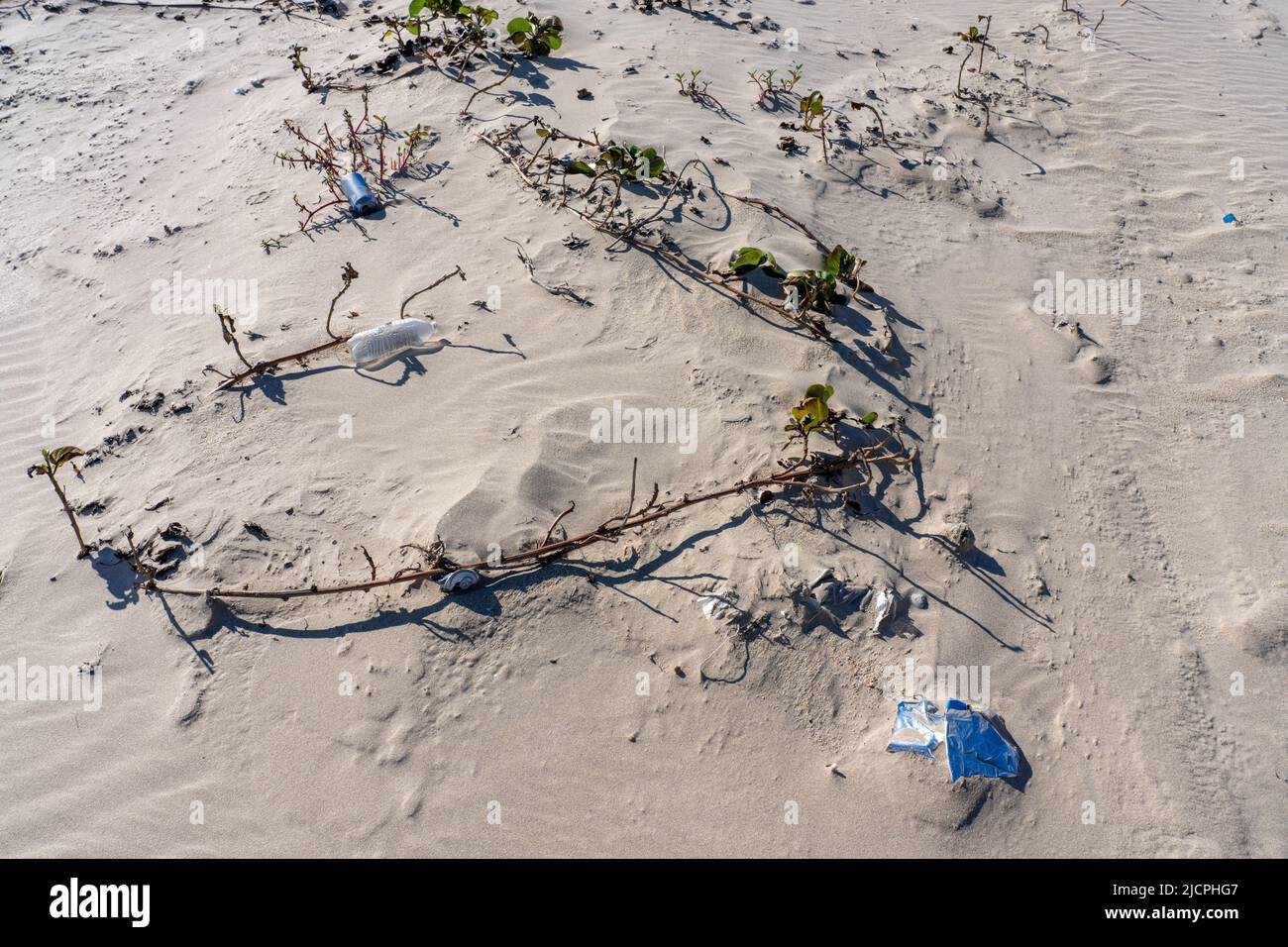 Debris and trash left by people or washed up on the beach from boats at ...