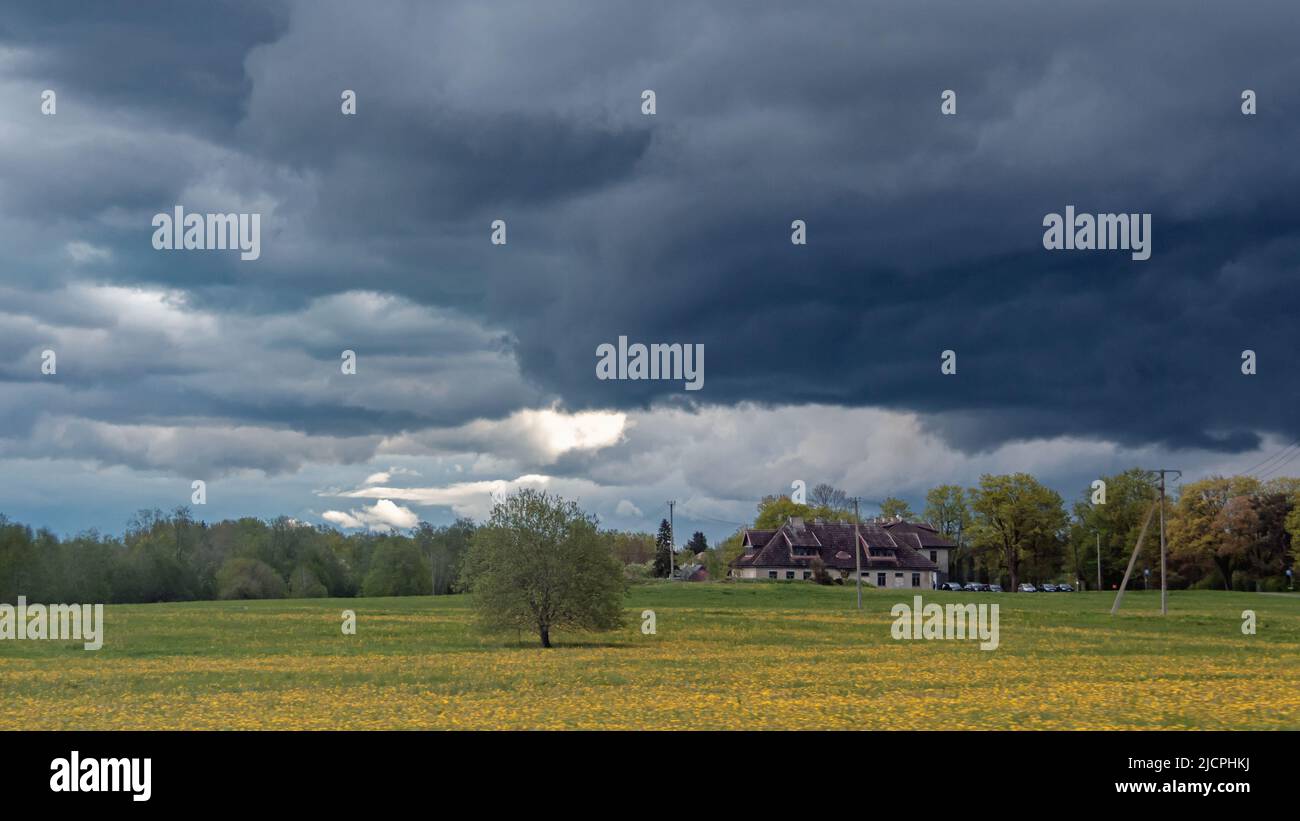 Dramatic sky with dark clouds over a field of yellow dandelions, dark ...