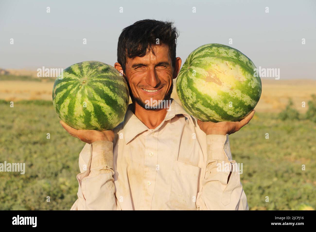 Kunduz, Afghanistan. 14th June, 2022. A farmer shows watermelons in a ...
