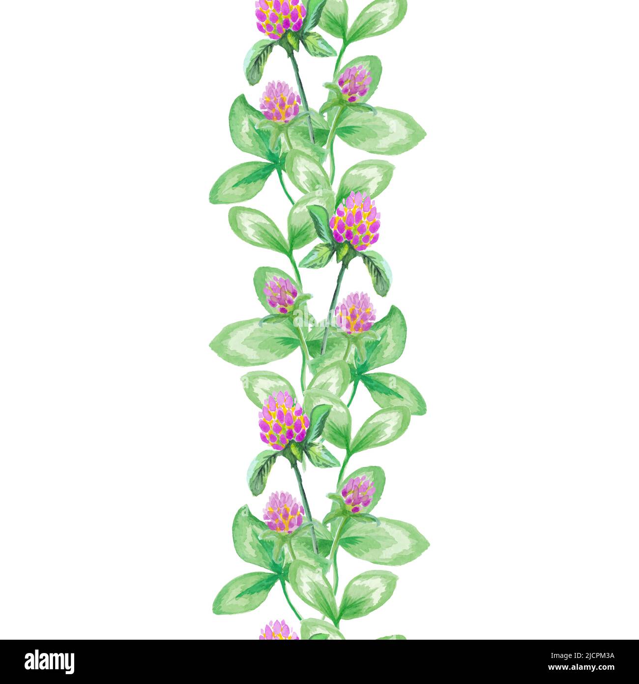 Floral seamless border of seasonal meadow plants. Clover wildflowers ...