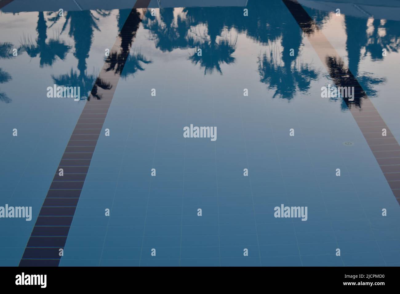 Swimming pool backdrop palm tree hi-res stock photography and images ...