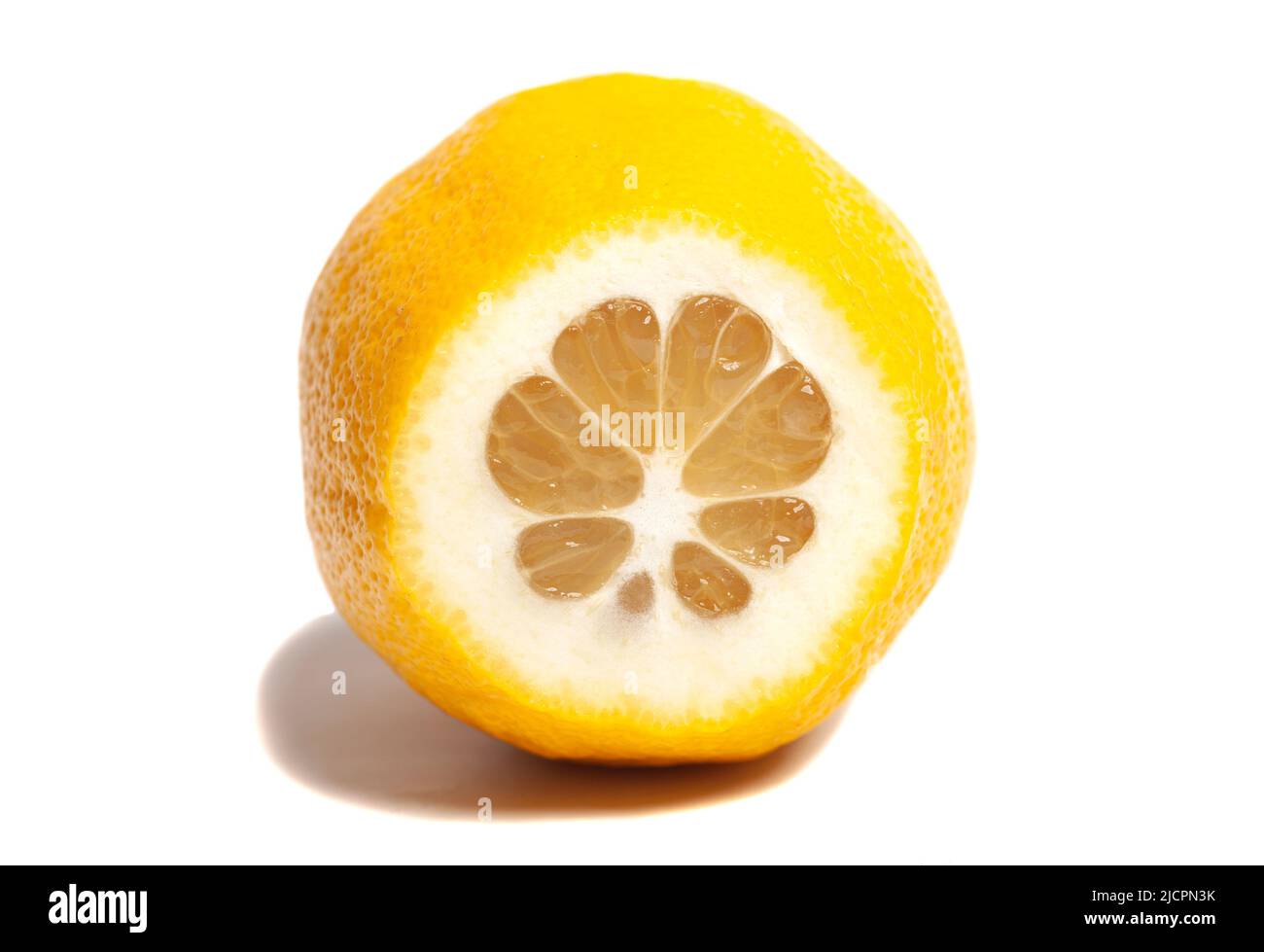 Single sliced lemon citrus fruit isolated on white background Stock ...