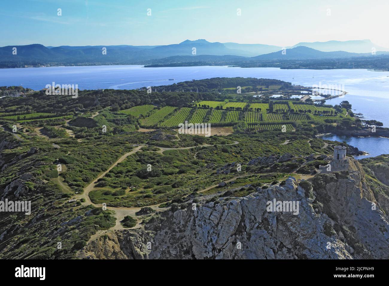 France, Var, Embiez Island, the largest island and its vineyards (rosé ...