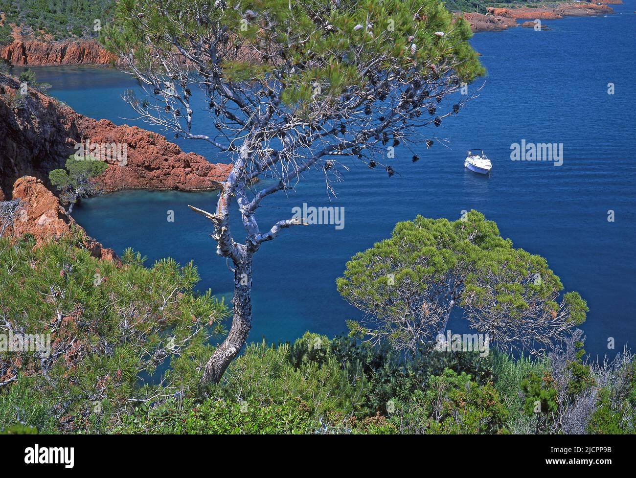 France, Var, Fréjus the Esterel massif, landscape of the Mediterranean ...