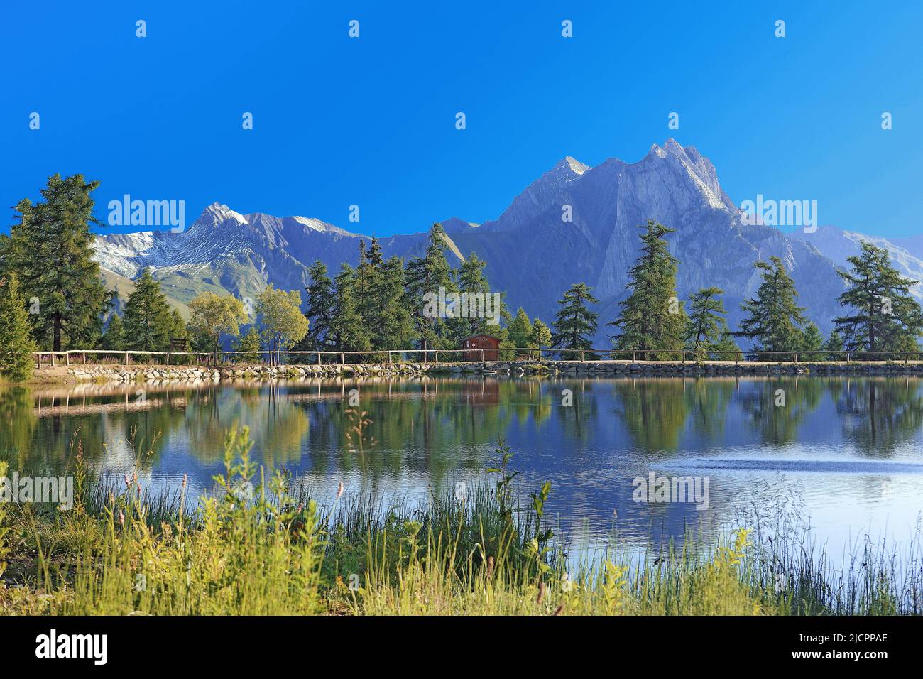 Pramol hi-res stock photography and images - Alamy