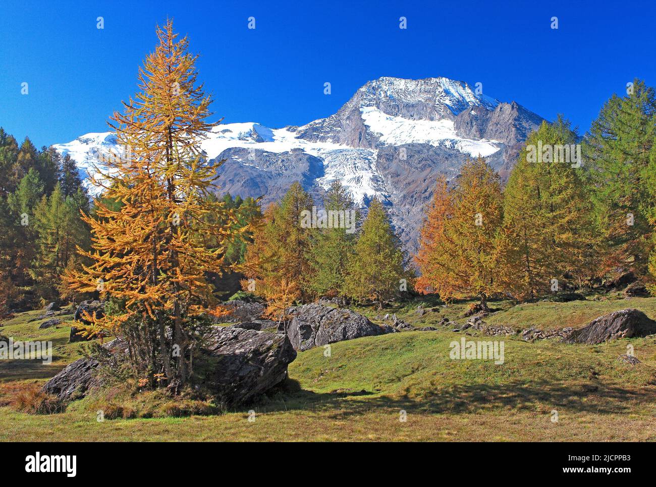 Mont pourri vanoise national park hi-res stock photography and images ...