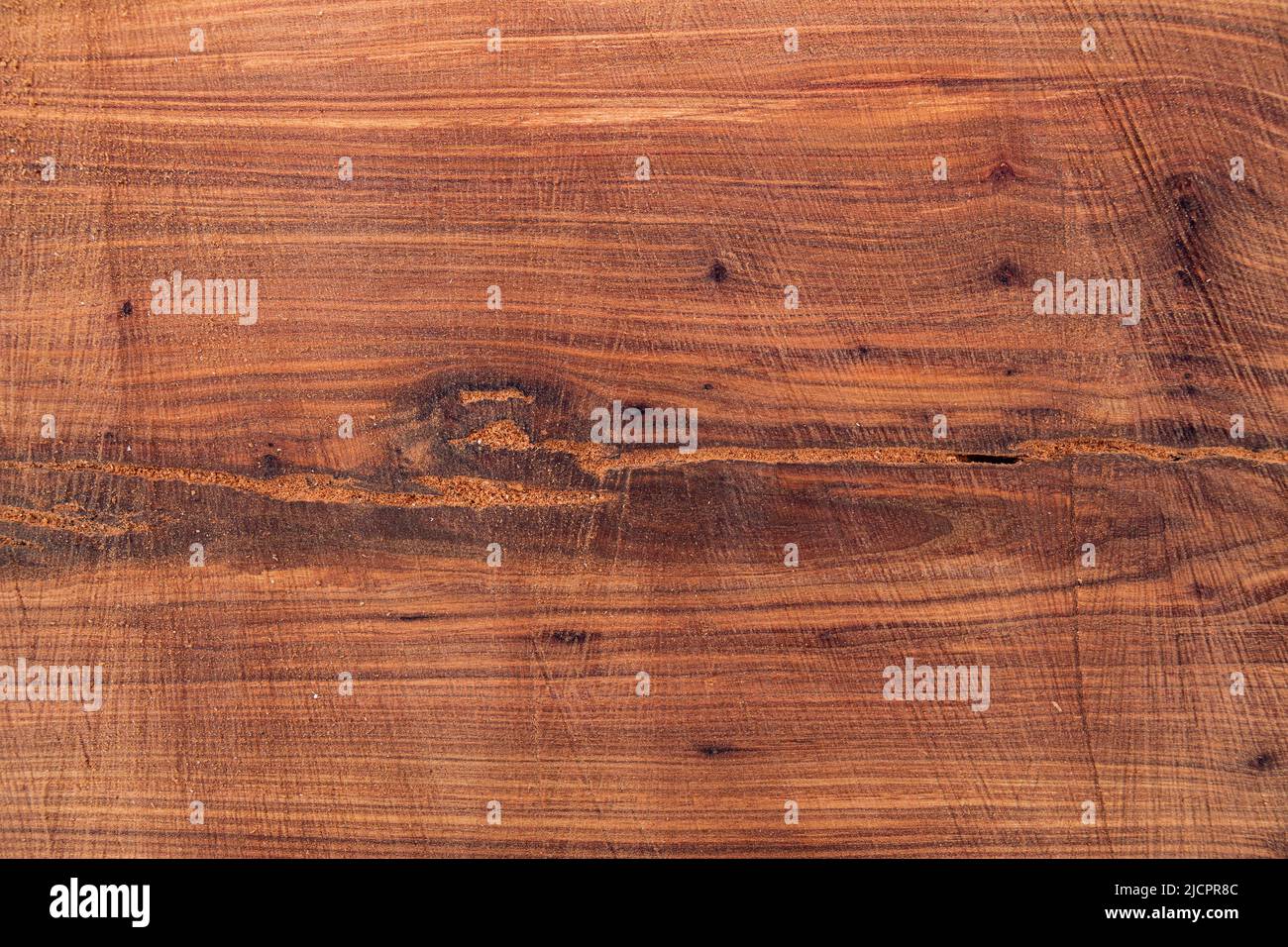 Tree plank texture for background. Cut tree trunk texture. Wood texture ...