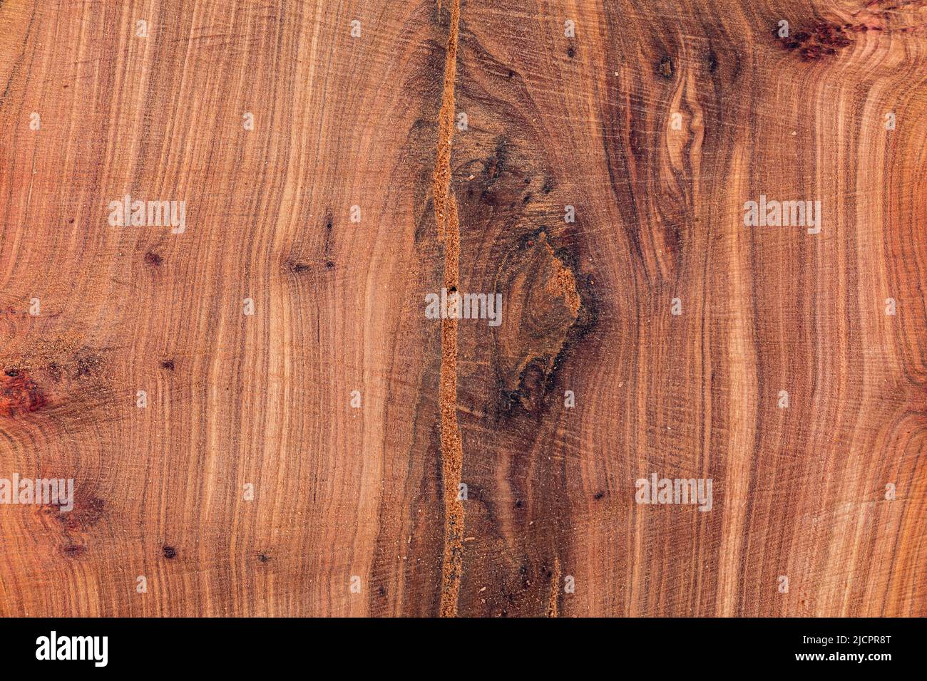 Tree plank texture for background. Cut tree trunk texture. Wood texture ...