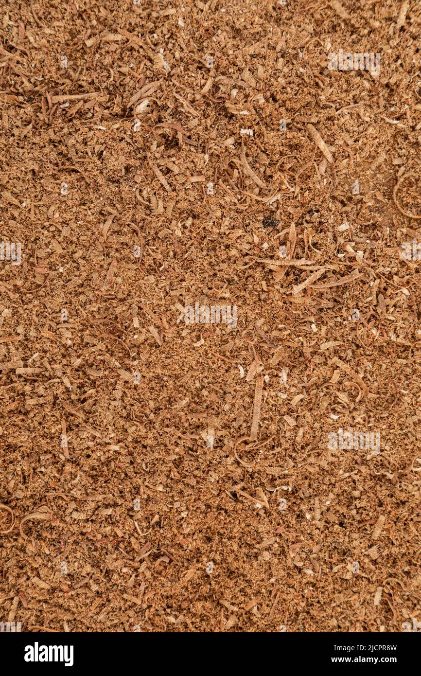 Sawdust texture for background. Wood production Stock Photo - Alamy