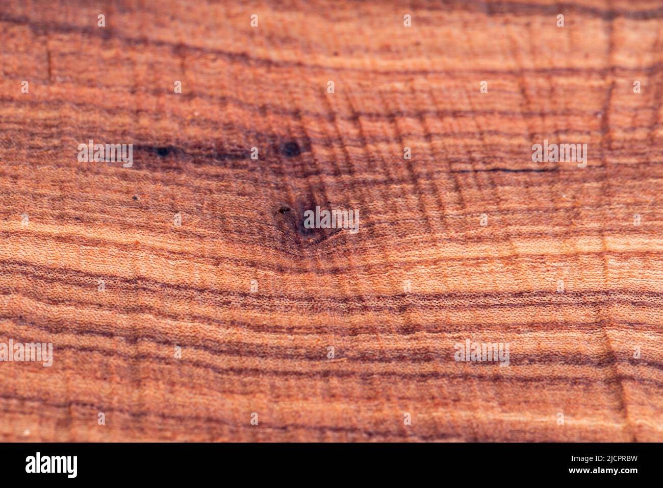 Tree plank texture for background. Cut tree trunk texture. Wood texture ...