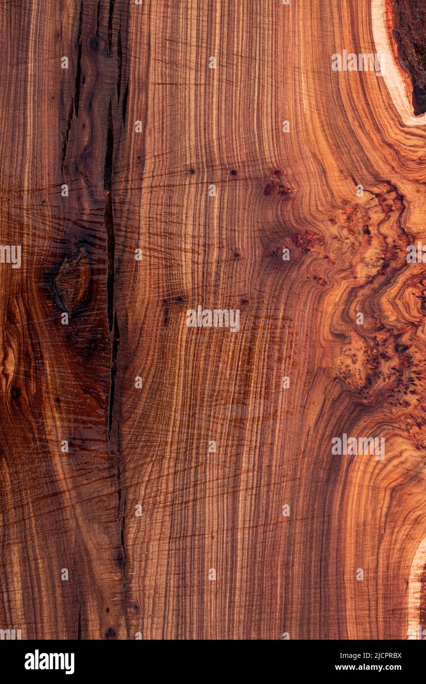 Tree plank texture for background. Cut tree trunk texture. Wood texture ...