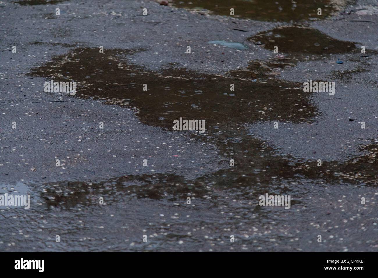 Closeup of dripping raindrops in a puddle in rainy day Stock Photo - Alamy