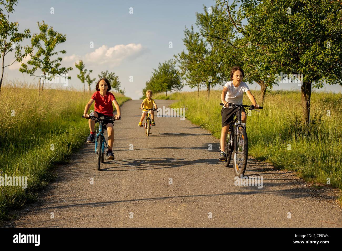 Cute happy children, brothers, riding bikes in the park on a sunny ...
