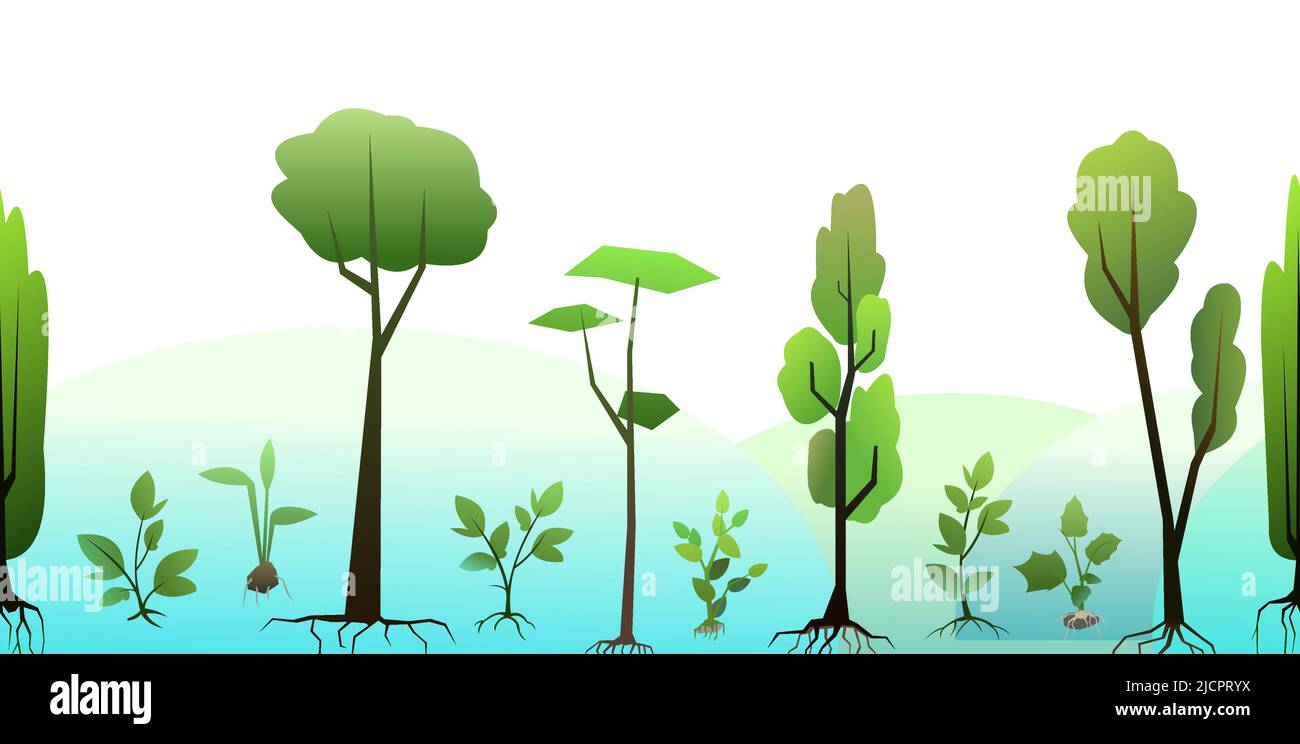 Seedlings of young trees with roots. Garden plants. Fruit plantings ...