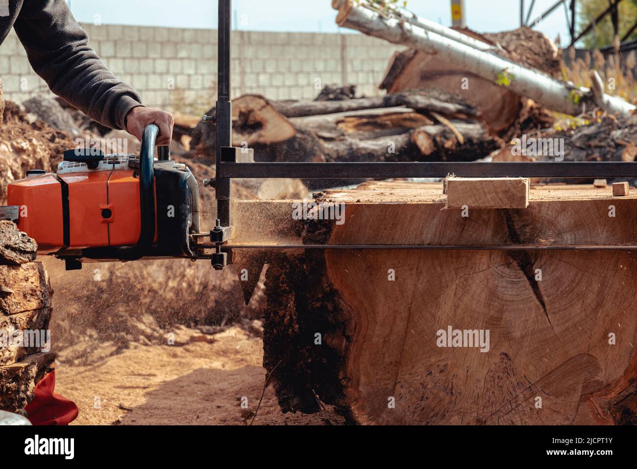 Closeup of lumberjack cutting tree trunk with giant chainsaw to make ...