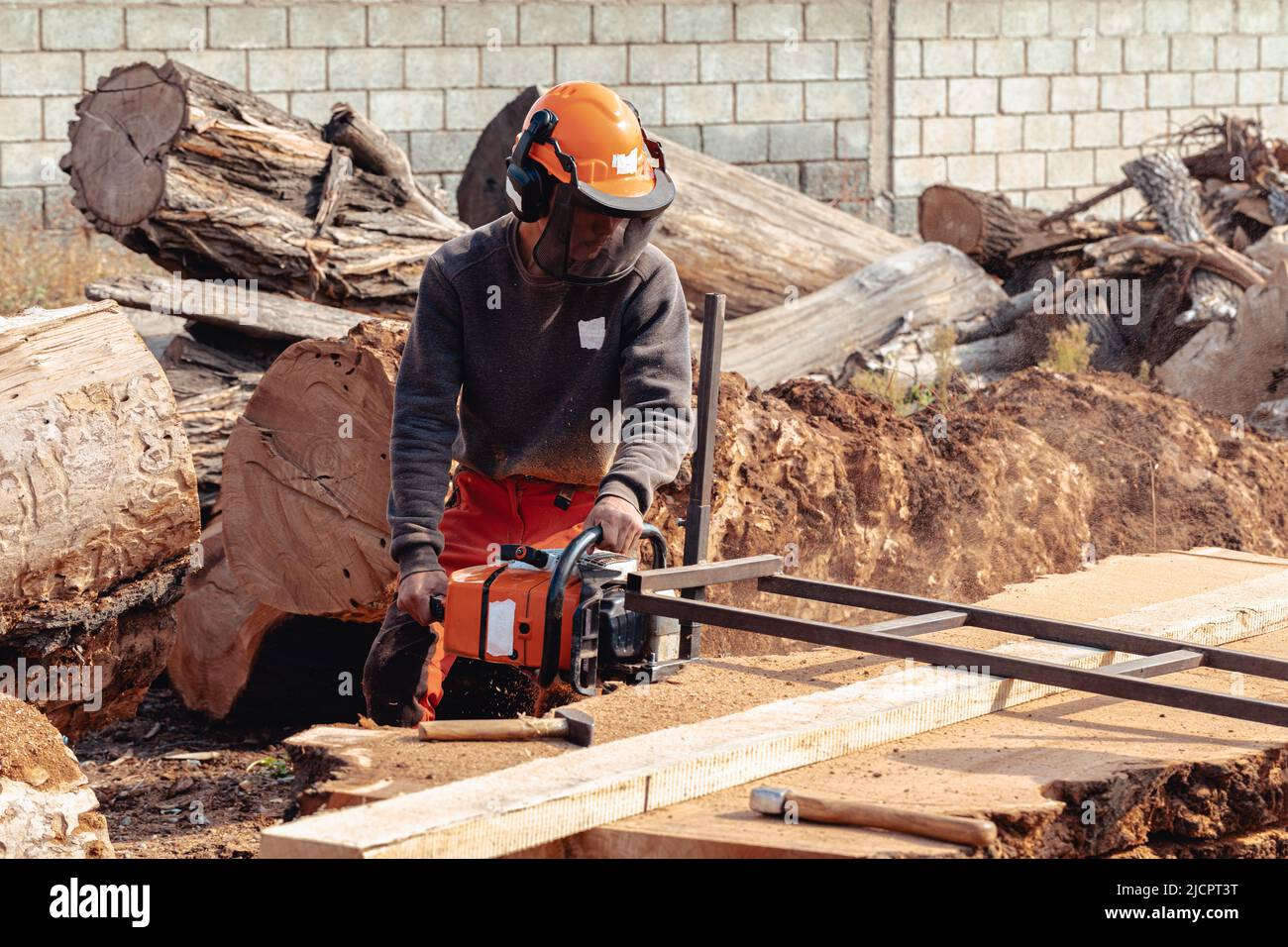 Lumberjack cutting tree trunk with giant chainsaw to make wooden planks ...