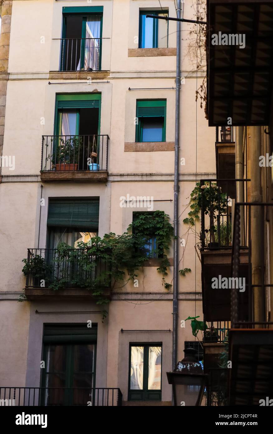 Vibe check hi-res stock photography and images - Alamy