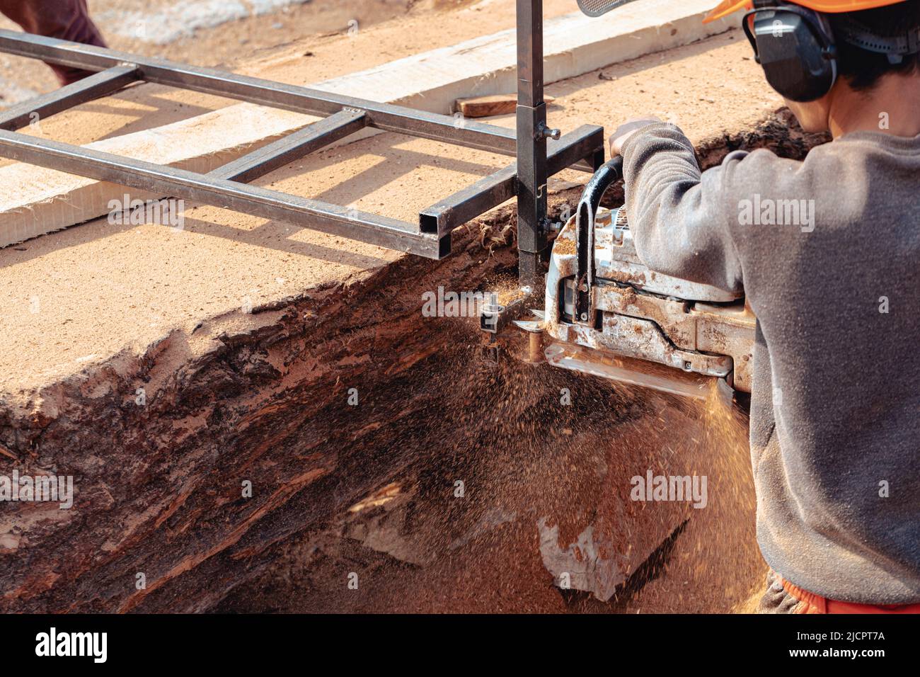 Closeup of lumberjack cutting tree trunk with giant chainsaw to make ...
