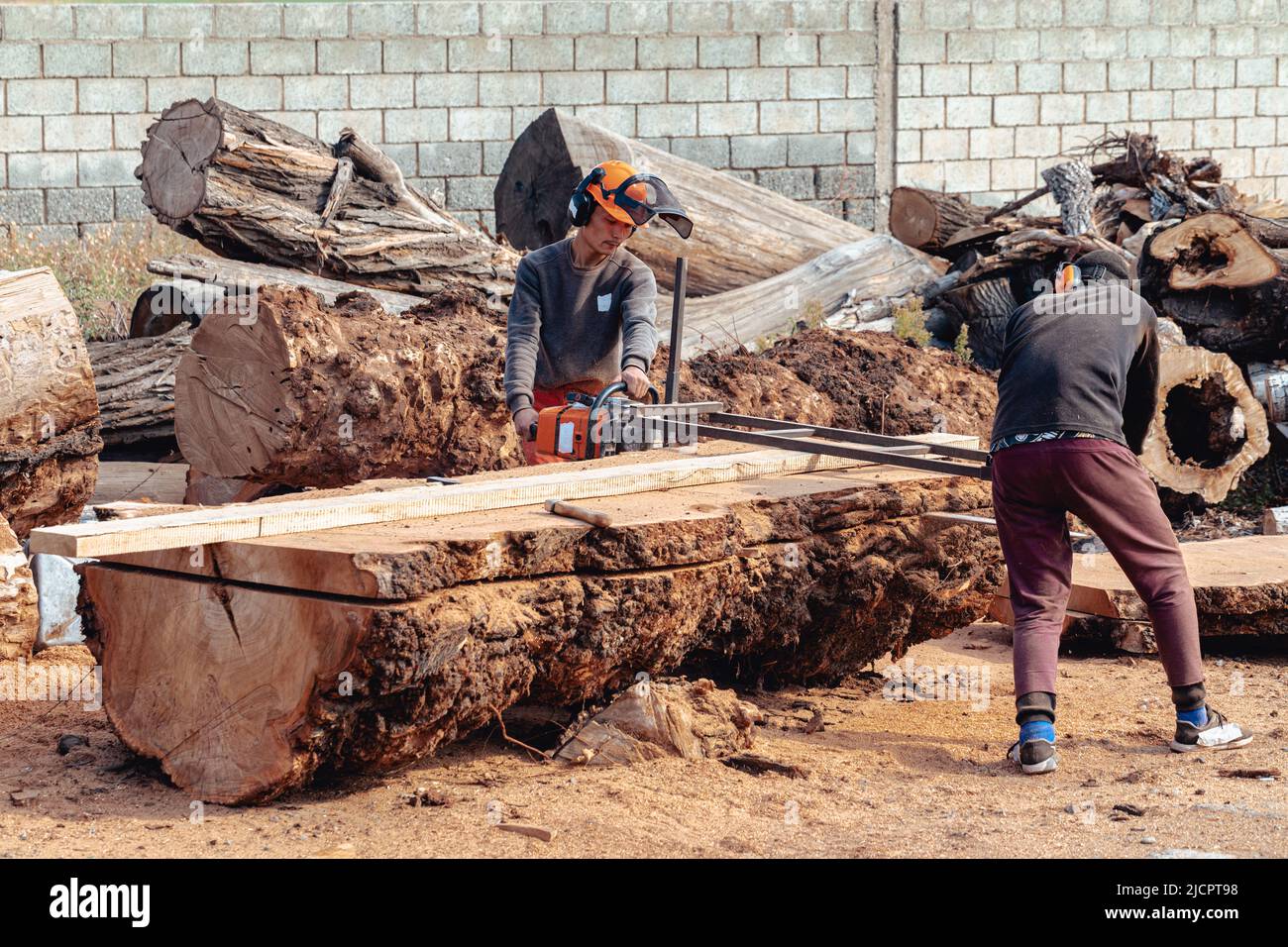 Lumberjack cutting tree trunk with giant chainsaw to make wooden planks ...
