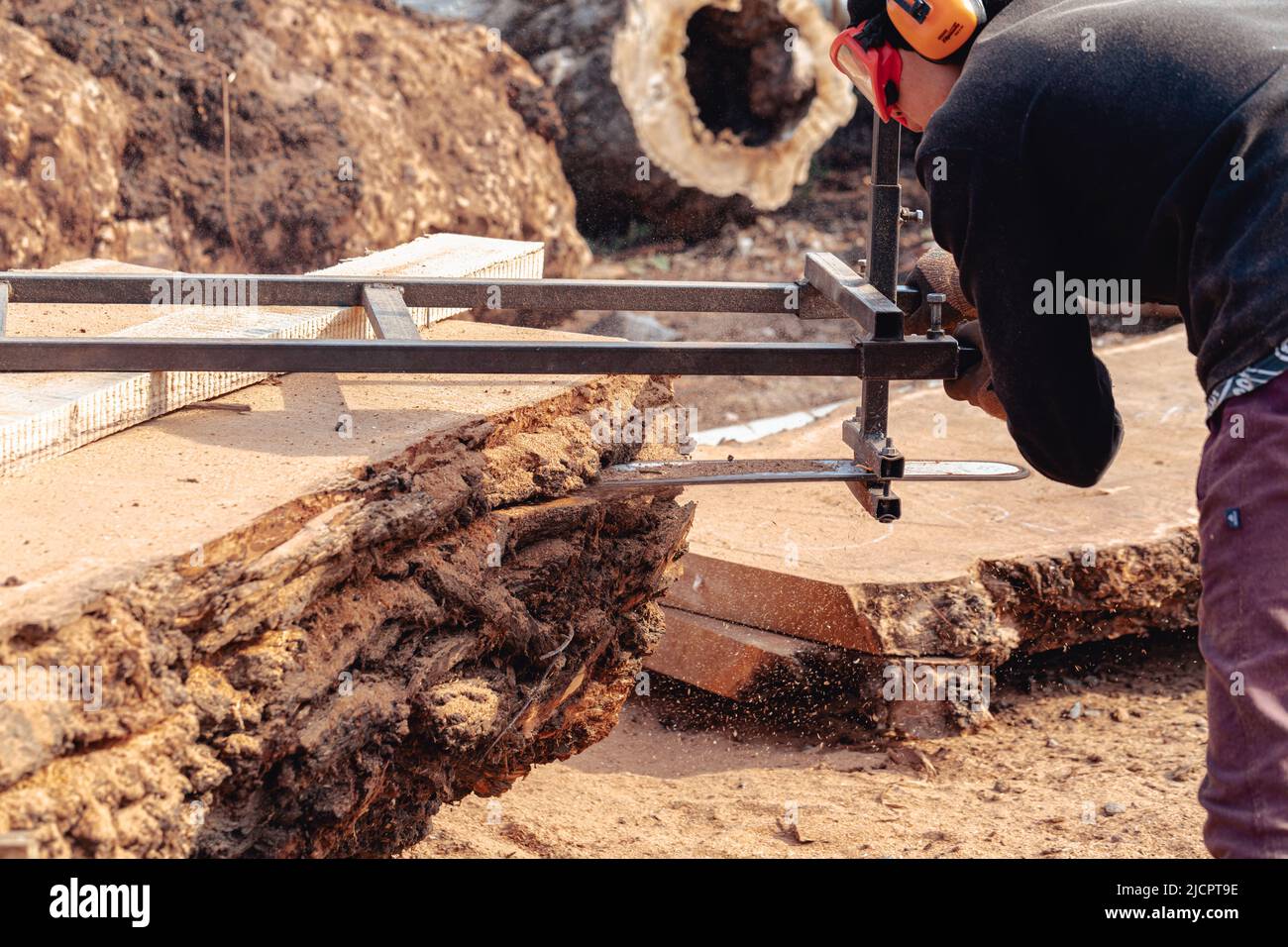 Lumberjack cutting tree trunk with giant chainsaw to make wooden planks ...