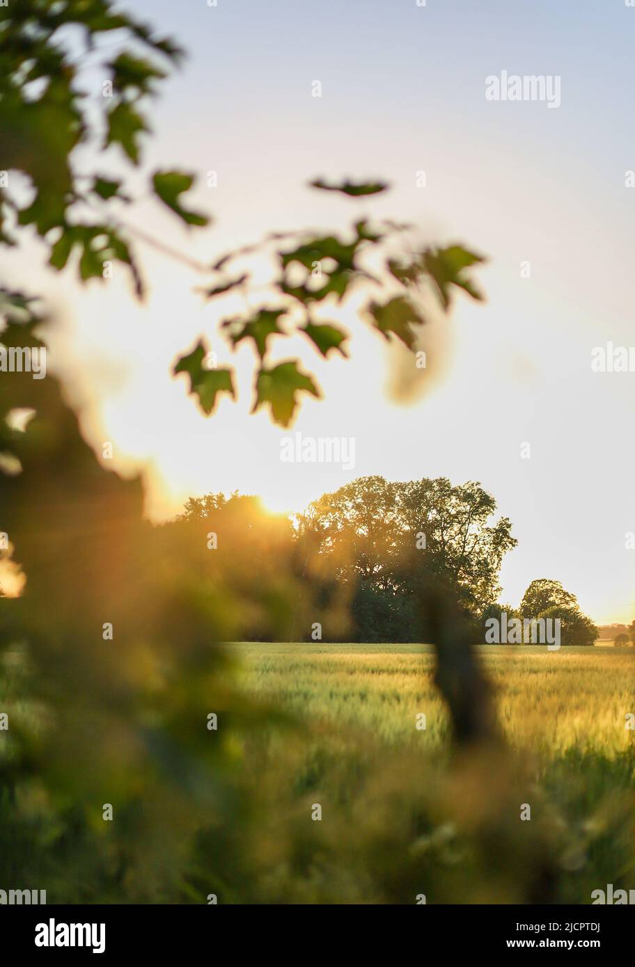 Vibing sunset hi-res stock photography and images - Alamy