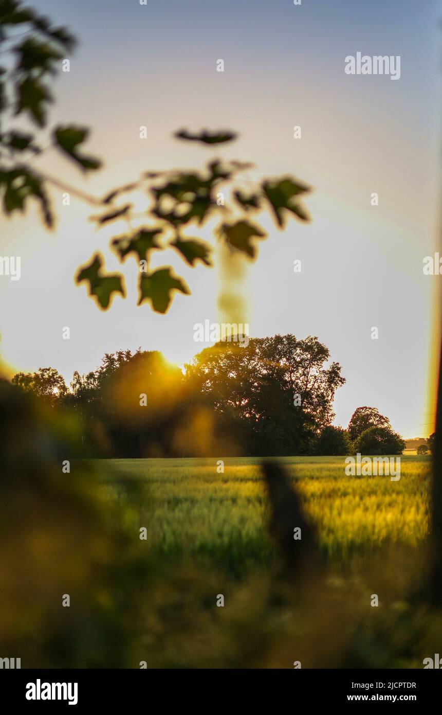 Vibing sunset hi-res stock photography and images - Alamy