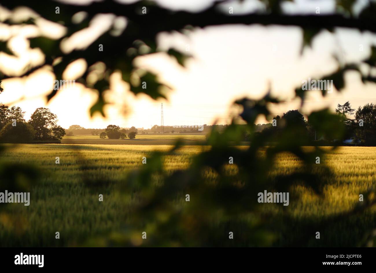 Sunset in Danish village, rural Europe Stock Photo - Alamy