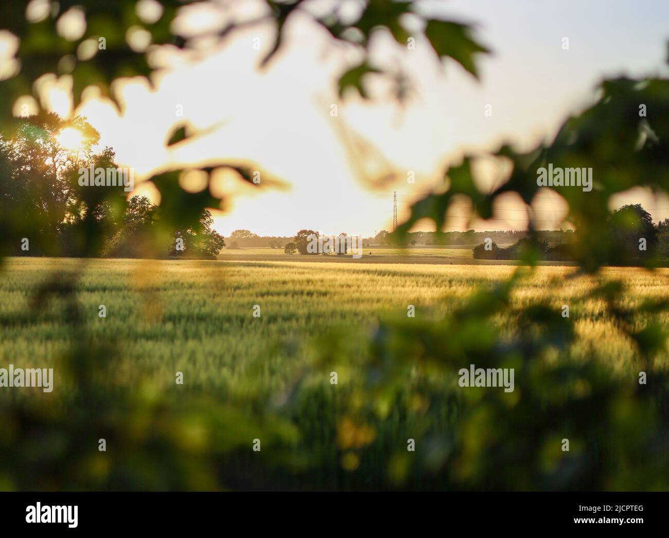 Vibing sunset hi-res stock photography and images - Alamy