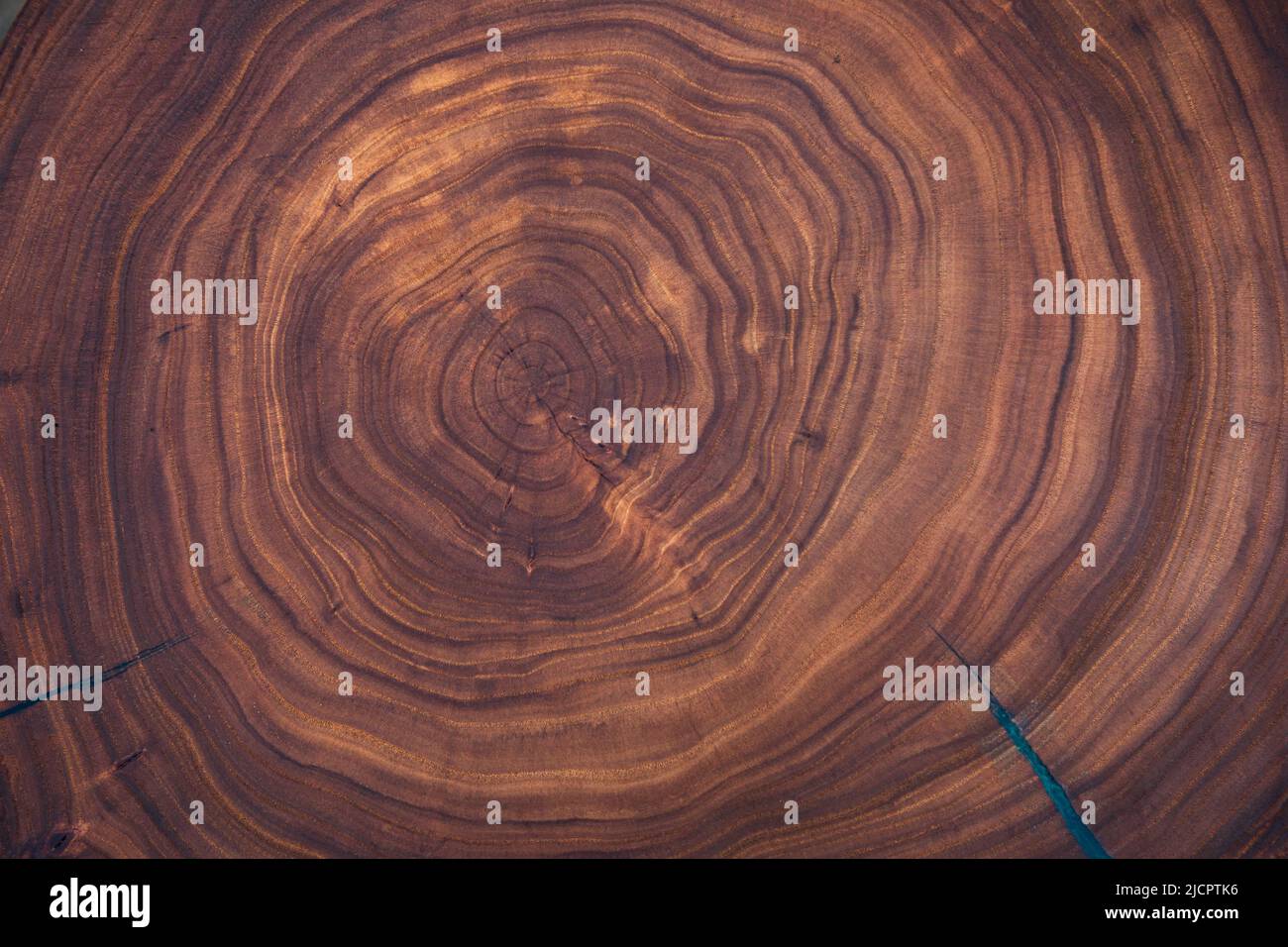 Texture of tree stump for background. Rough organic texture of tree ...