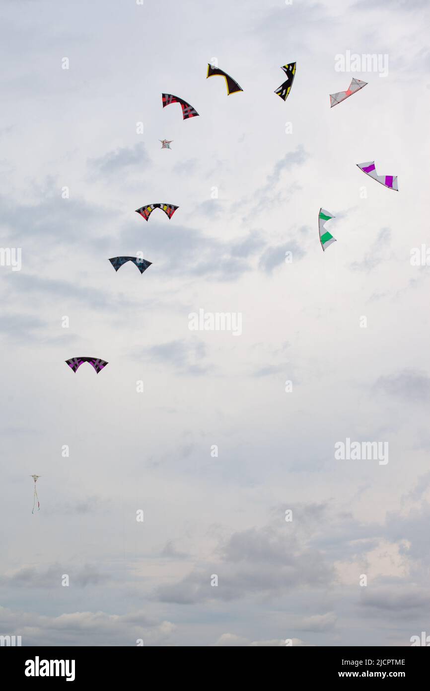 Nine individual kites follow each other in a perfect ballet, turning ...