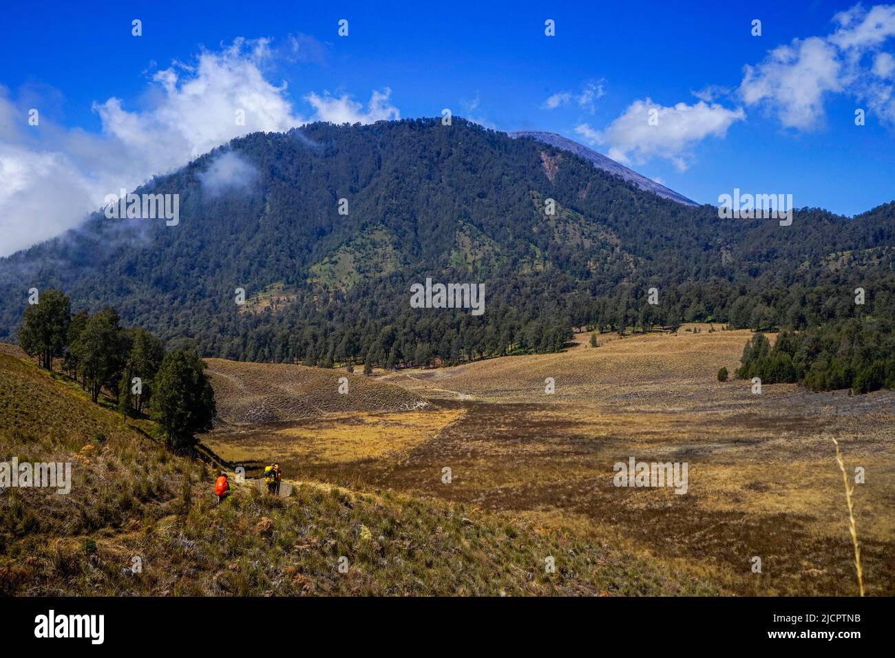 Tourist trekking at Oro oro ombo, Mount Semeru, Indonesia Stock Photo ...