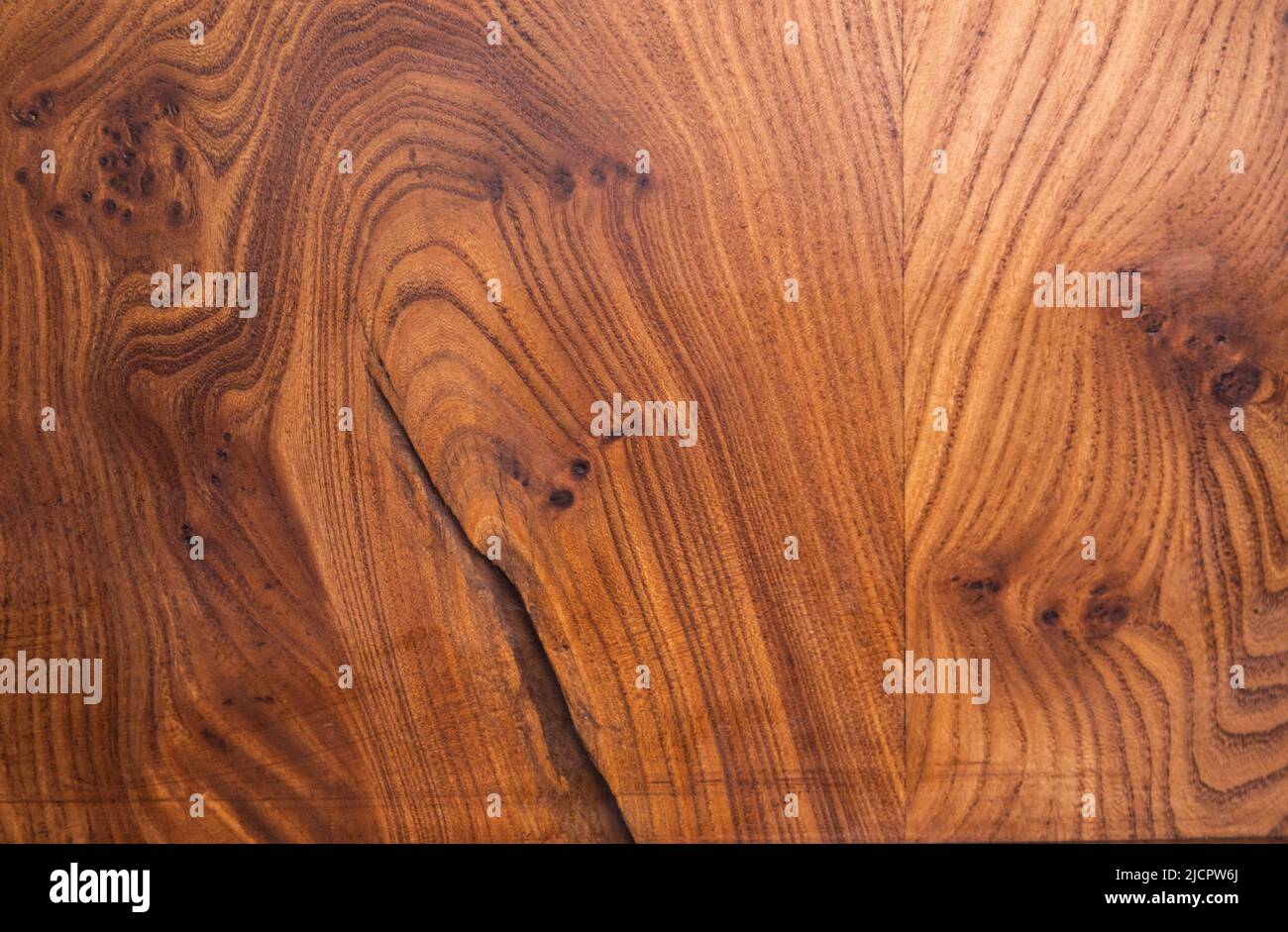Texture of tree stump for background. Close up of rough organic texture ...