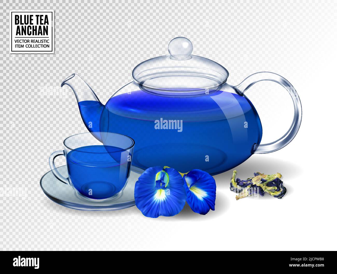 Organic blue tea Anchan, Clitoria, Butterfly Pea Stock Vector Image ...