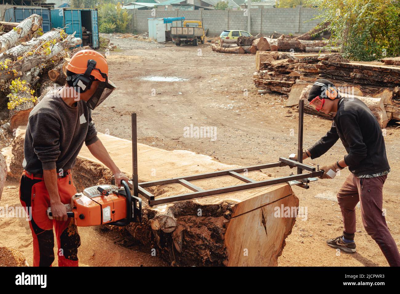 Lumberjack cutting tree trunk with giant chainsaw to make wooden planks ...