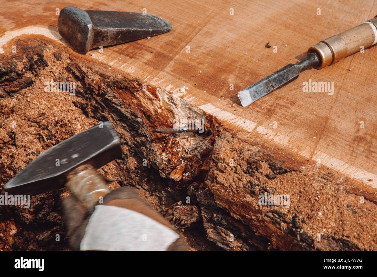 Closeup of carpenter removing the metal object with pliers from the ...