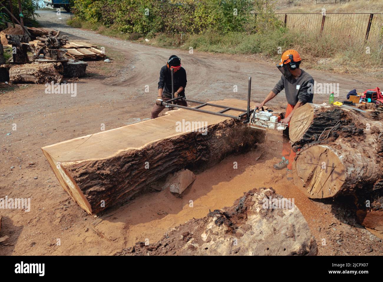 Lumberjack cutting tree trunk with giant chainsaw to make wooden planks ...