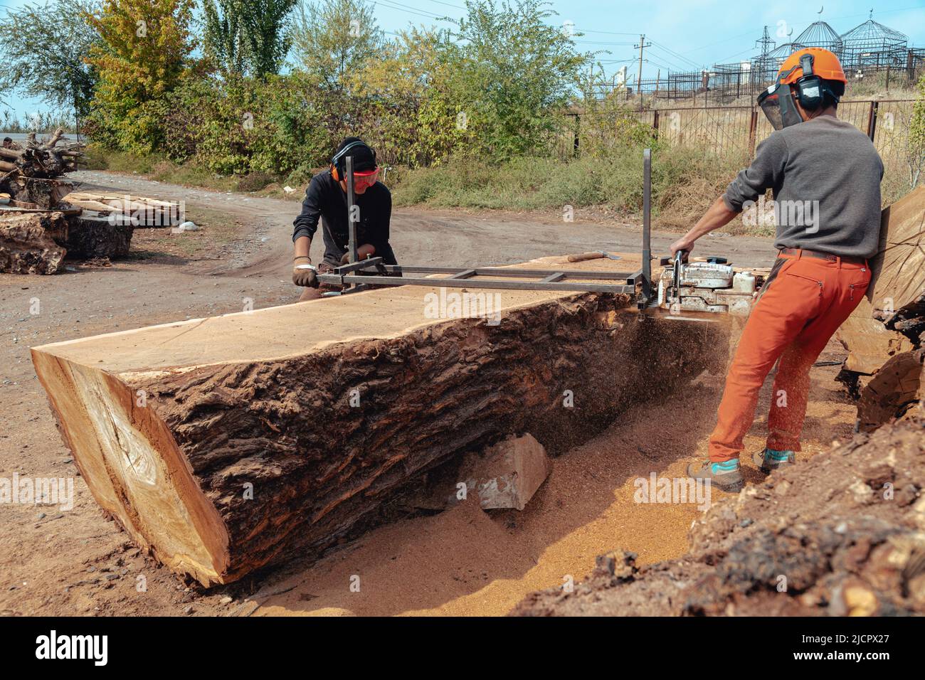 Lumberjack cutting tree trunk with giant chainsaw to make wooden planks ...