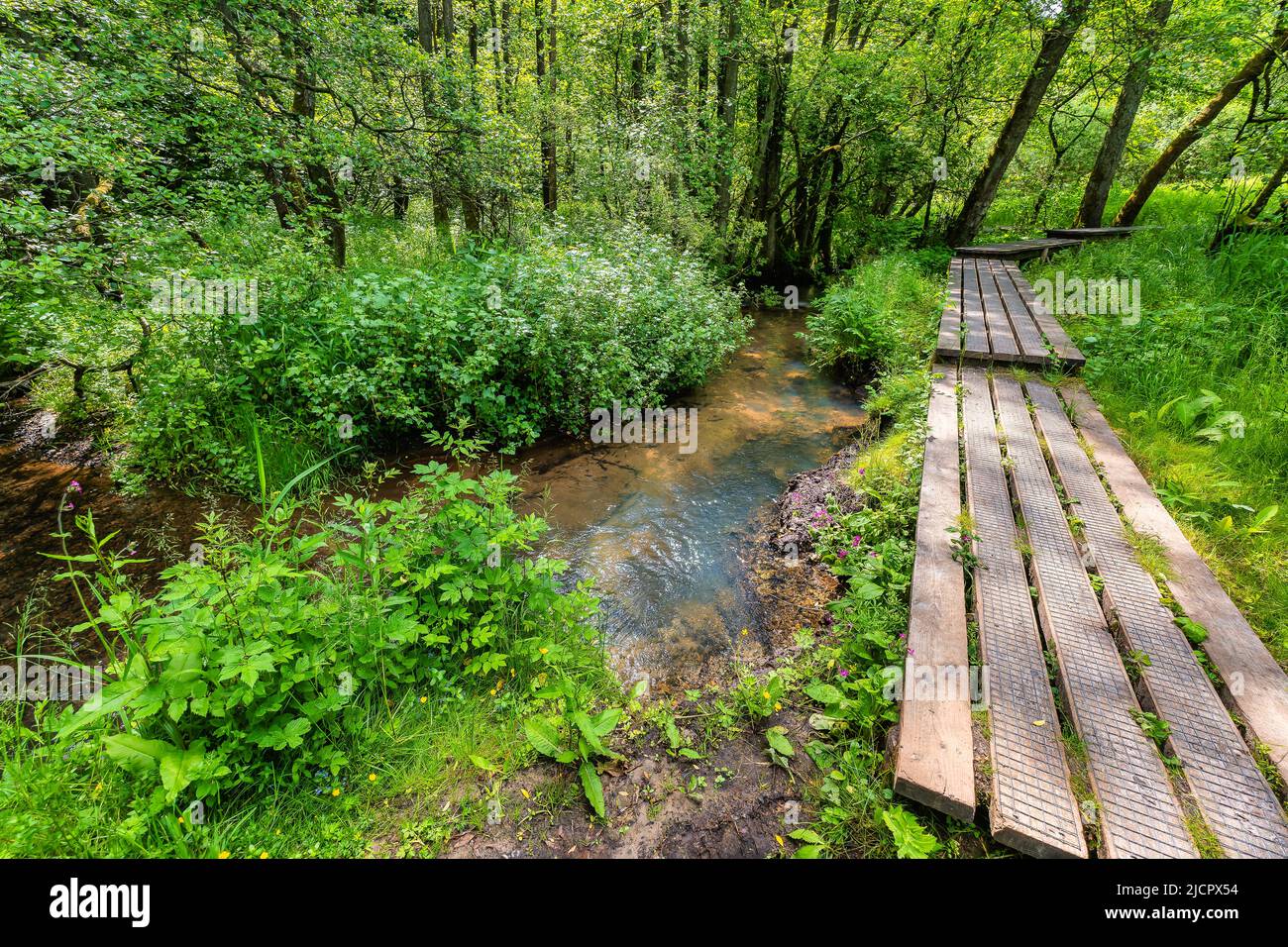 Walking path Grejs Valley natural reserve near Vejle, Denmark Stock ...