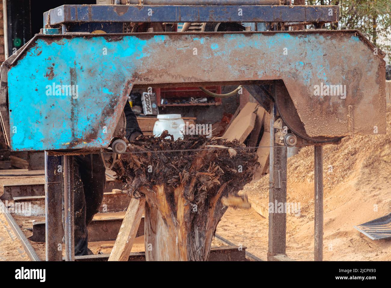 Sawing machine cutting tree log at wood production factory. Timber ...
